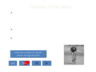 Interactive Powerpoint on the Heart | PPT