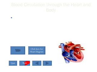 Interactive Powerpoint on the Heart | PPT