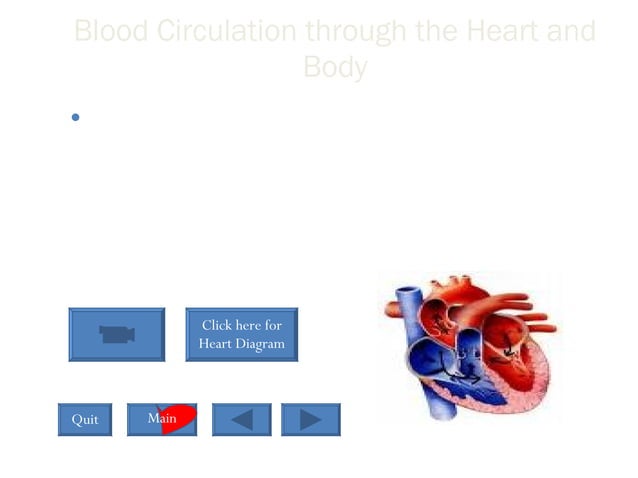 Interactive Powerpoint on the Heart | PPT | Heart and Cardiovascular ...