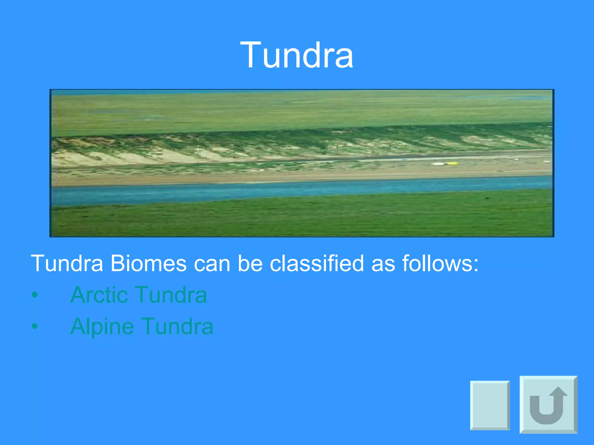 Interactive Powerpoint Biomes | PPT | Weather | Science