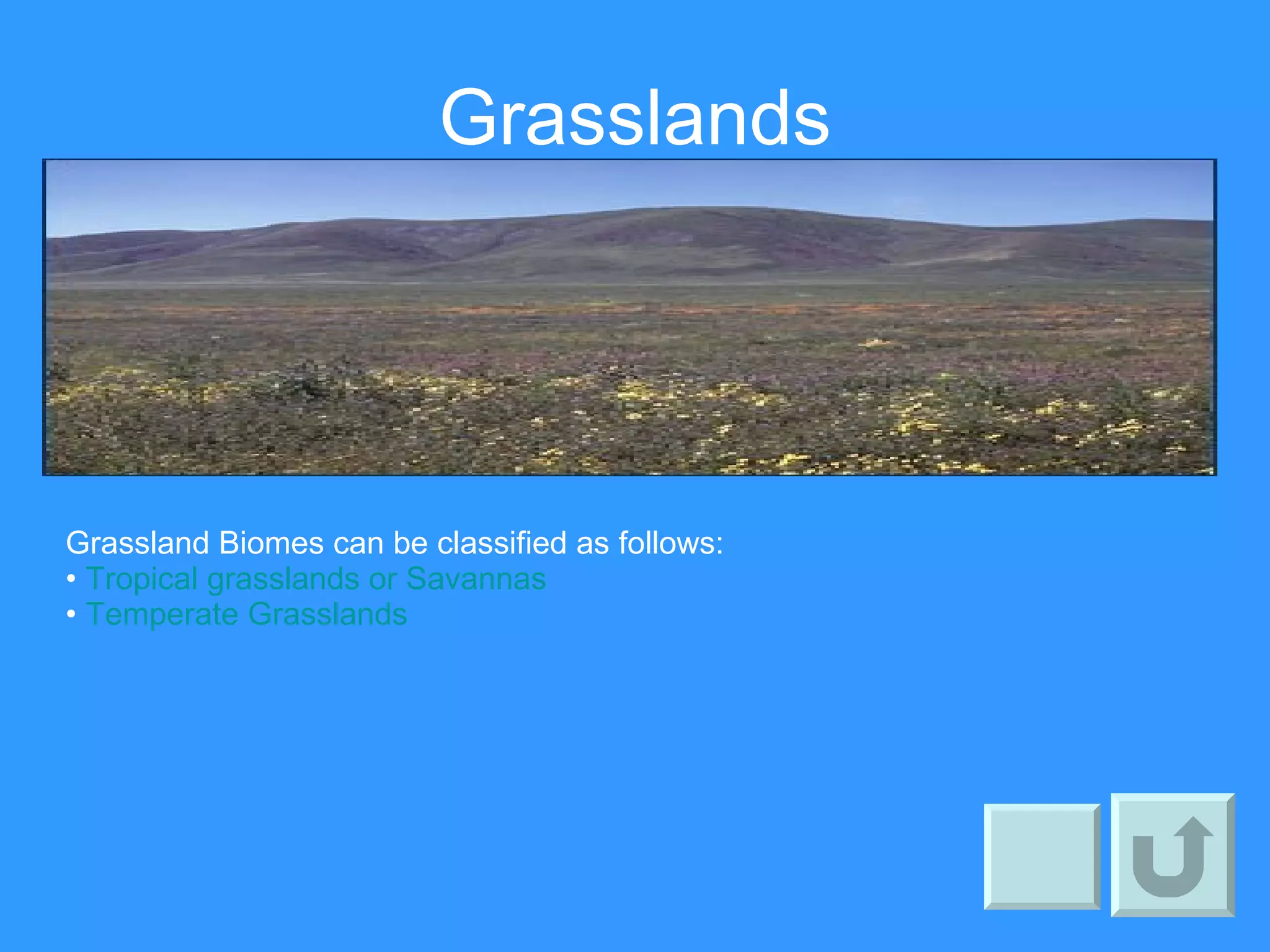 Interactive Powerpoint Biomes | PPT | Weather | Science