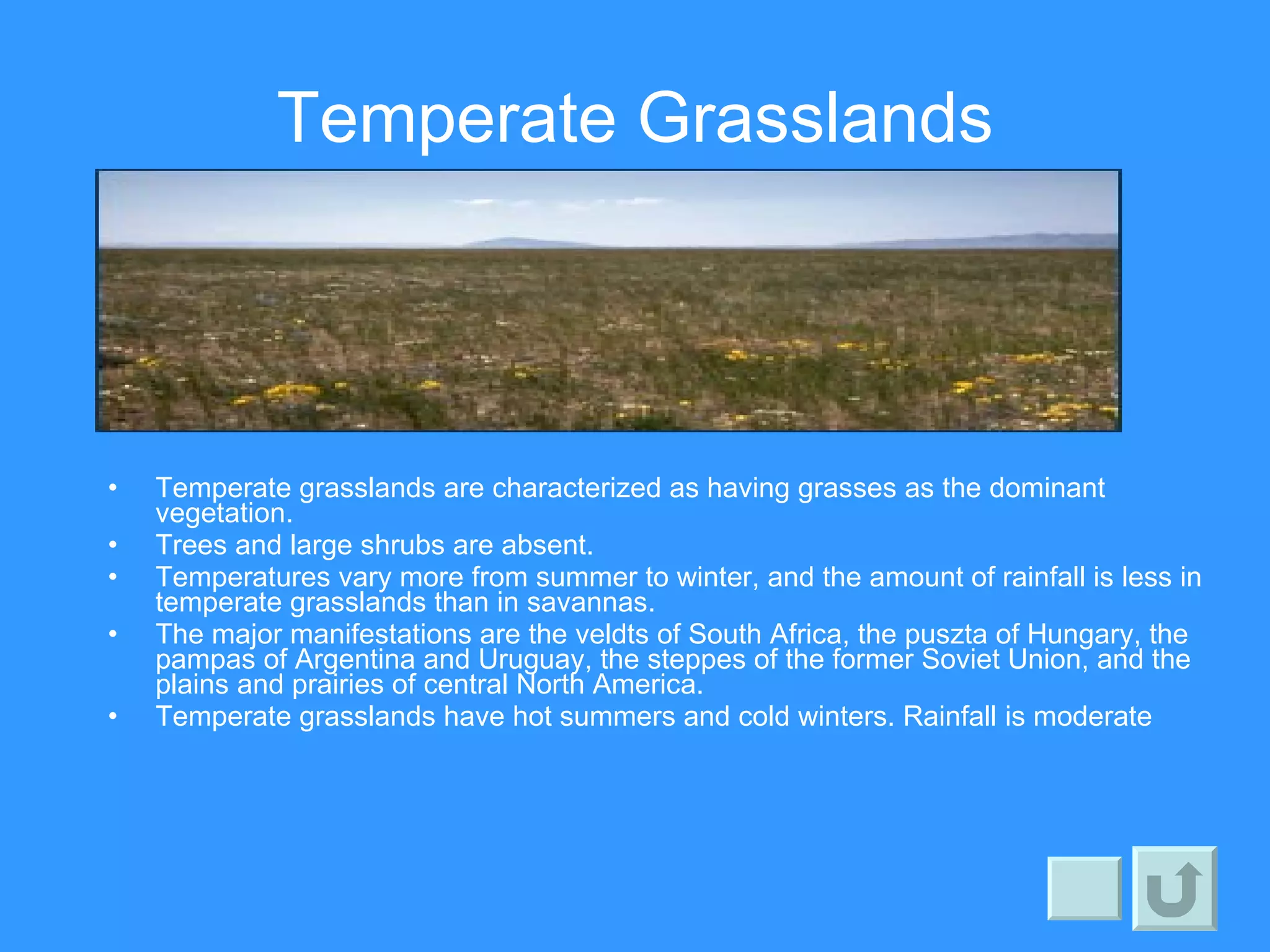 Interactive Powerpoint Biomes | PPT | Weather | Science
