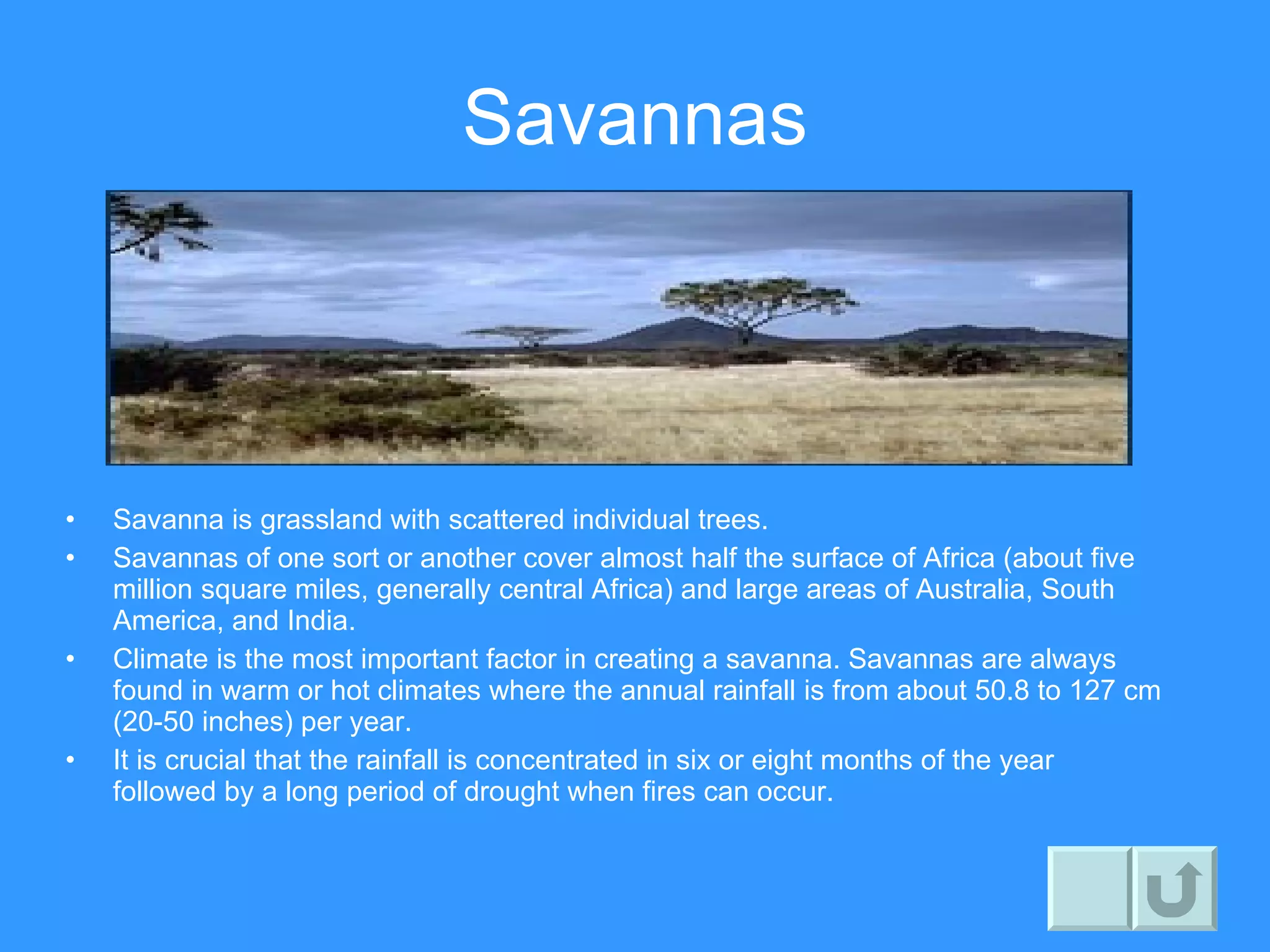 Interactive Powerpoint Biomes | PPT | Weather | Science