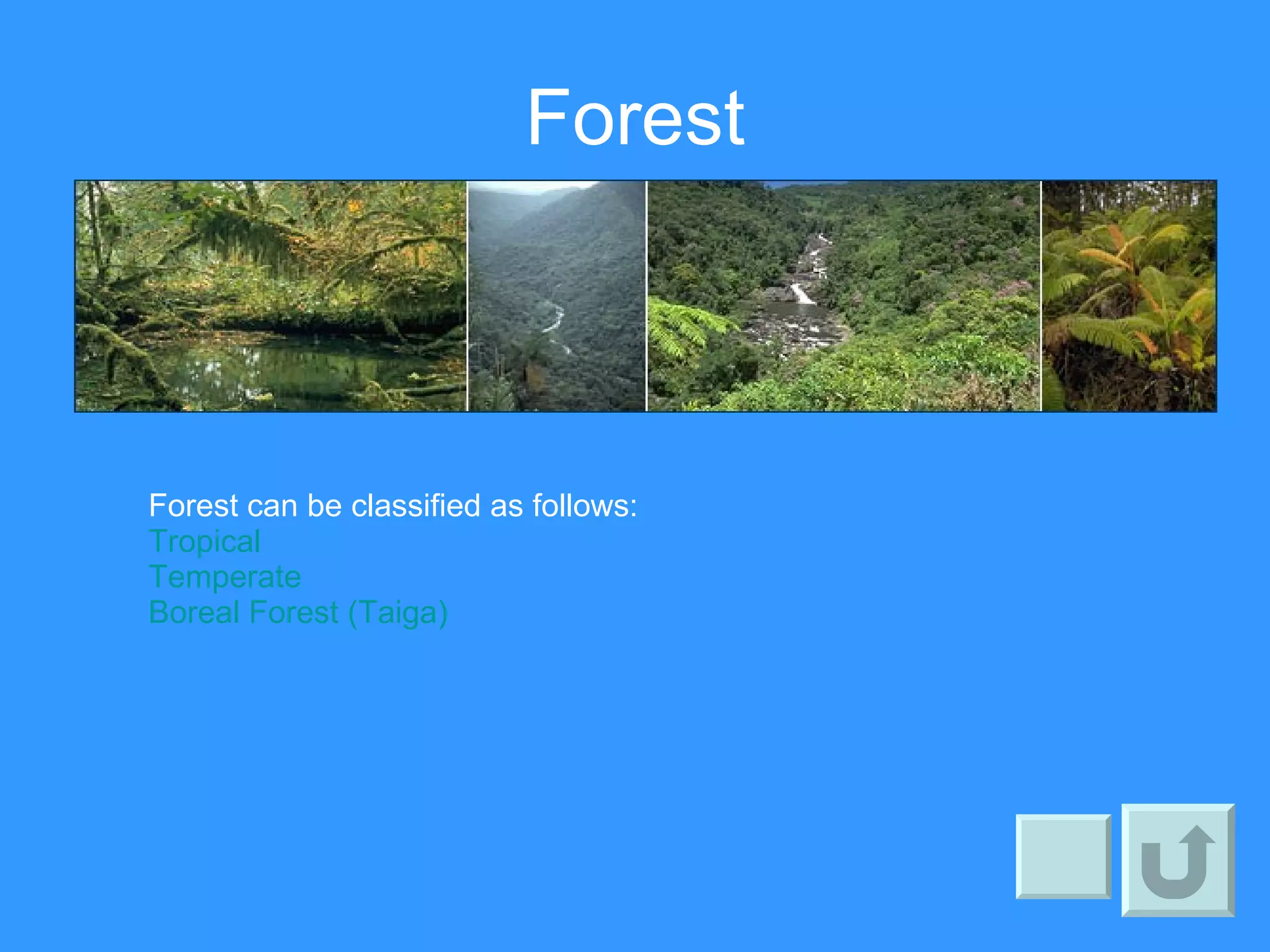 Interactive Powerpoint Biomes | PPT | Weather | Science