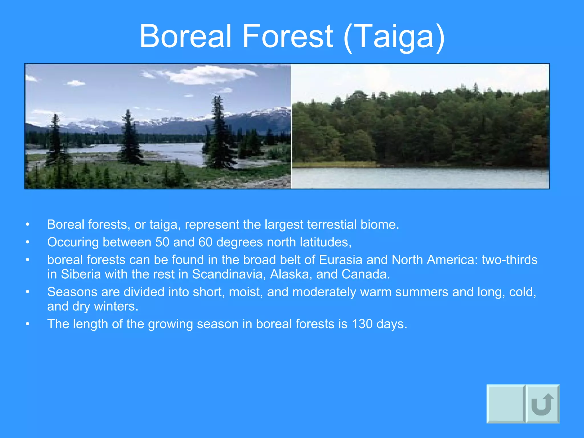 Interactive Powerpoint Biomes | PPT | Weather | Science