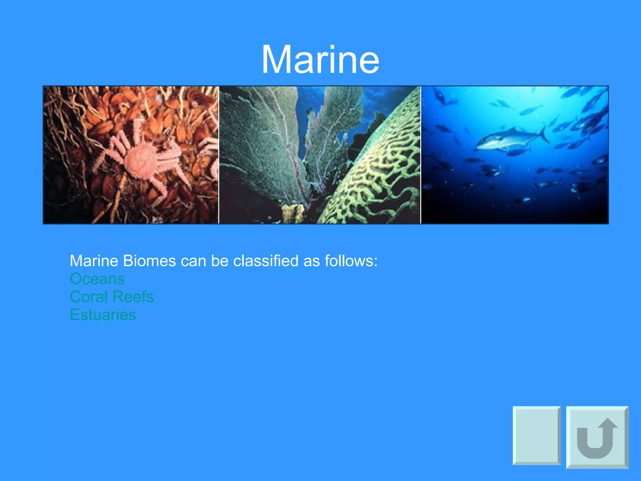 Interactive Powerpoint Biomes | PPT