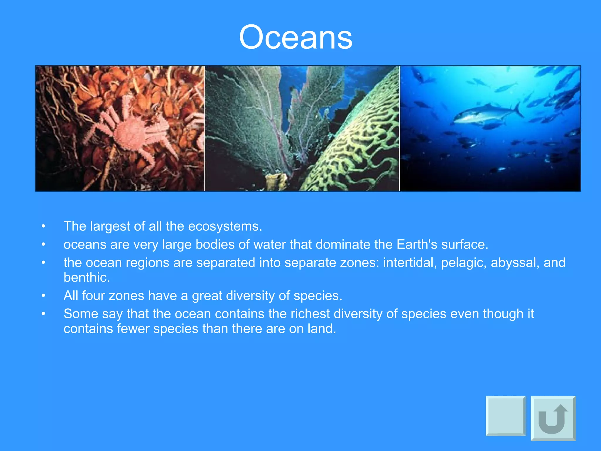 Interactive Powerpoint Biomes | PPT | Weather | Science
