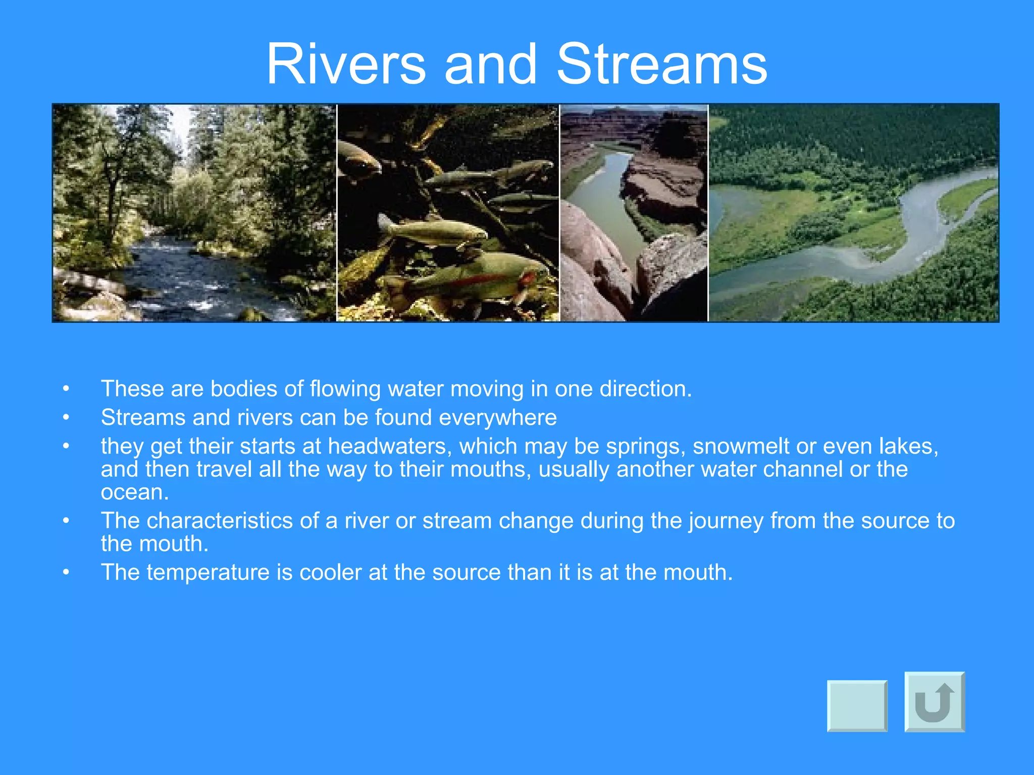 Interactive Powerpoint Biomes | PPT | Weather | Science
