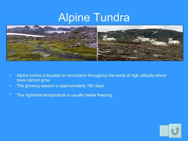 Interactive Powerpoint Biomes | PPT | Weather | Science