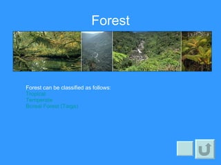 Interactive Powerpoint Biomes | PPT