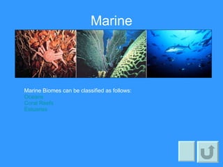 Interactive Powerpoint Biomes | PPT