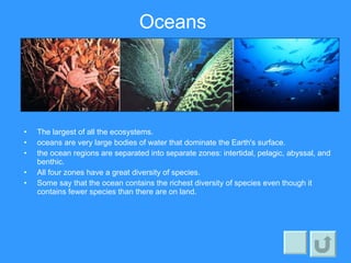 Interactive Powerpoint Biomes | PPT