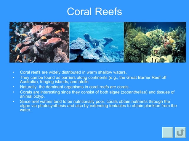 Interactive Powerpoint Biomes | PPT | Weather | Science