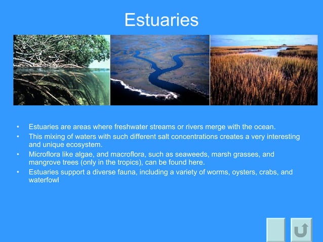 Interactive Powerpoint Biomes | PPT | Weather | Science