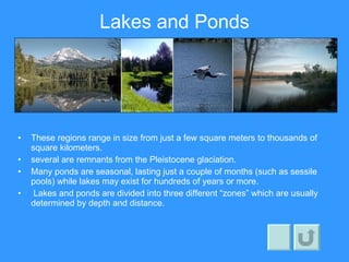 Interactive Powerpoint Biomes | PPT