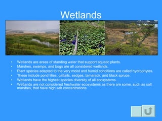 Interactive Powerpoint Biomes | PPT