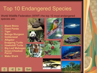 Interactive Pwrpt. | PPT