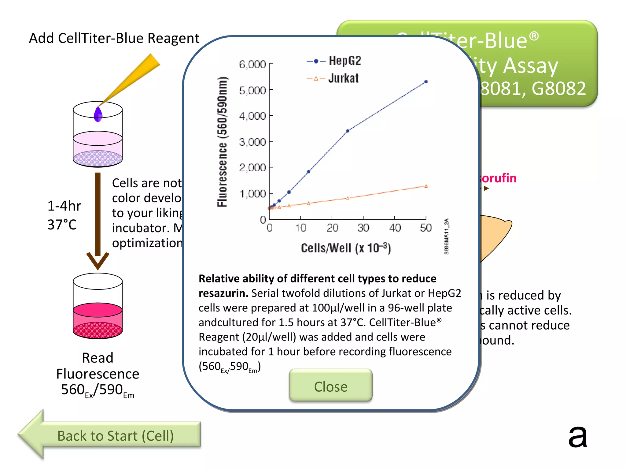 Interactive Cell Analysis Compressed | PPS