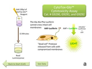 Interactive Cell Analysis Compressed | PPS