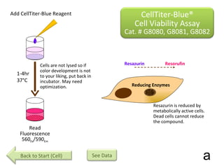 Interactive Cell Analysis Compressed | PPS