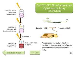 Interactive Cell Analysis Compressed | PPT | Chemistry | Science