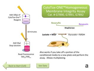 Interactive Cell Analysis Compressed | PPT
