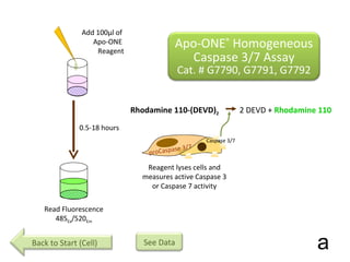Interactive Cell Analysis Compressed | PPT