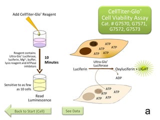 Interactive Cell Analysis Compressed | PPT | Chemistry | Science