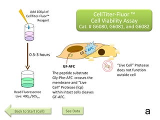 Interactive Cell Analysis Compressed | PPT | Chemistry | Science
