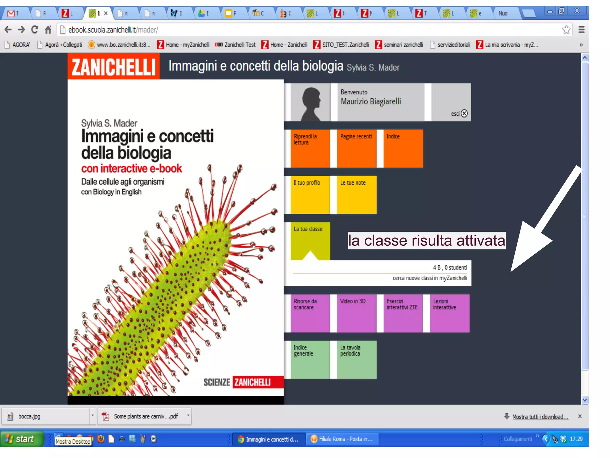 Interactive ebook (1) | PDF
