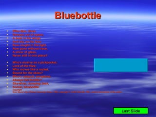 Interactive voting lesson poetry ideas | PPT