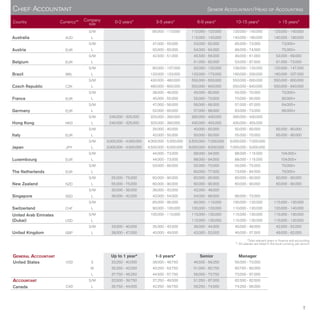 2010-2011 Global Financial Salary Guide | PDF