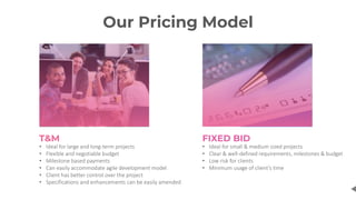 Interactive pixels digital solutions | PPT