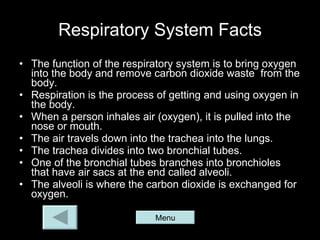 Interactivepowerpoint | PPT