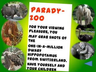 Search Explore Discover Calbiga, Samar | PPT