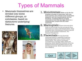 Interactiveppt | PPT | Biological Sciences | Science