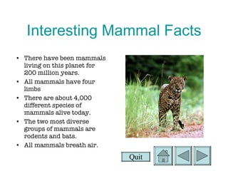Interactiveppt | PPT | Biological Sciences | Science