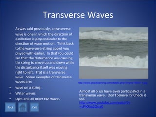 Introduction to Waves and Waveforms | PPT
