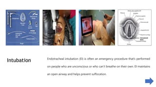 Interactive Presentation.pptx