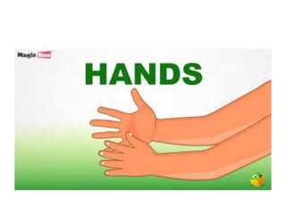 Body Parts | PPT