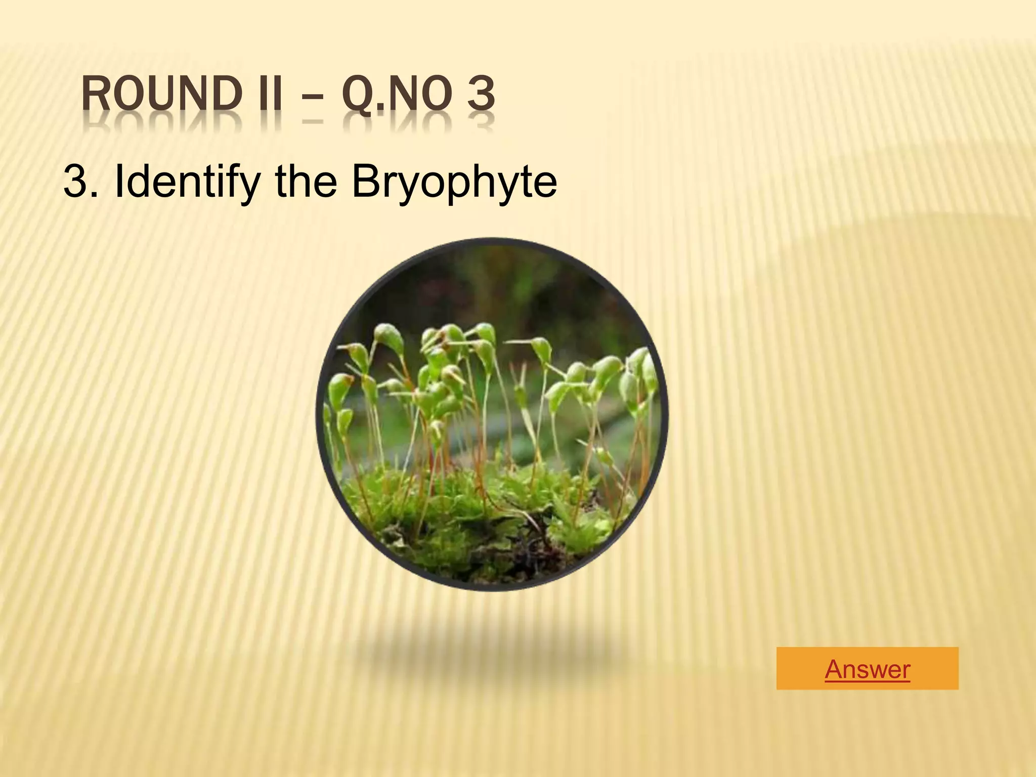 Interactive quiz on fundamentals of botany | PPTX