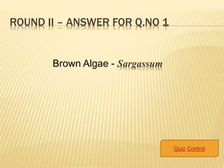 Interactive quiz on fundamentals of botany | PPTX