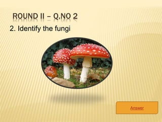 Interactive quiz on fundamentals of botany | PPTX