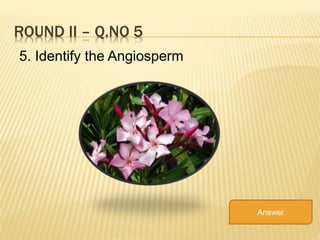 Interactive quiz on fundamentals of botany | PPTX