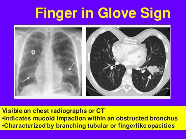 Interactive radiology case presentation