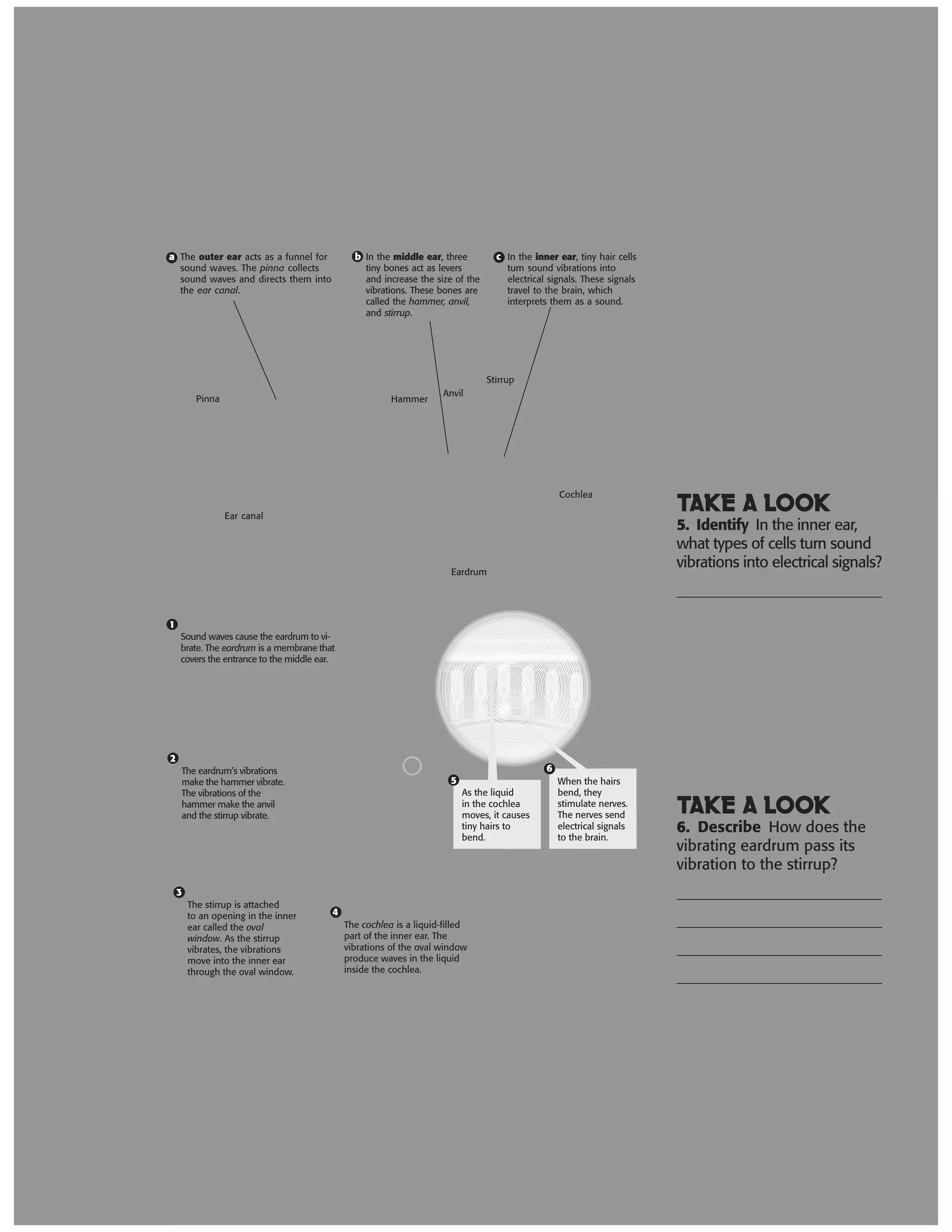 Interactive Textbook Ch. 20 The Energy of Waves | PDF