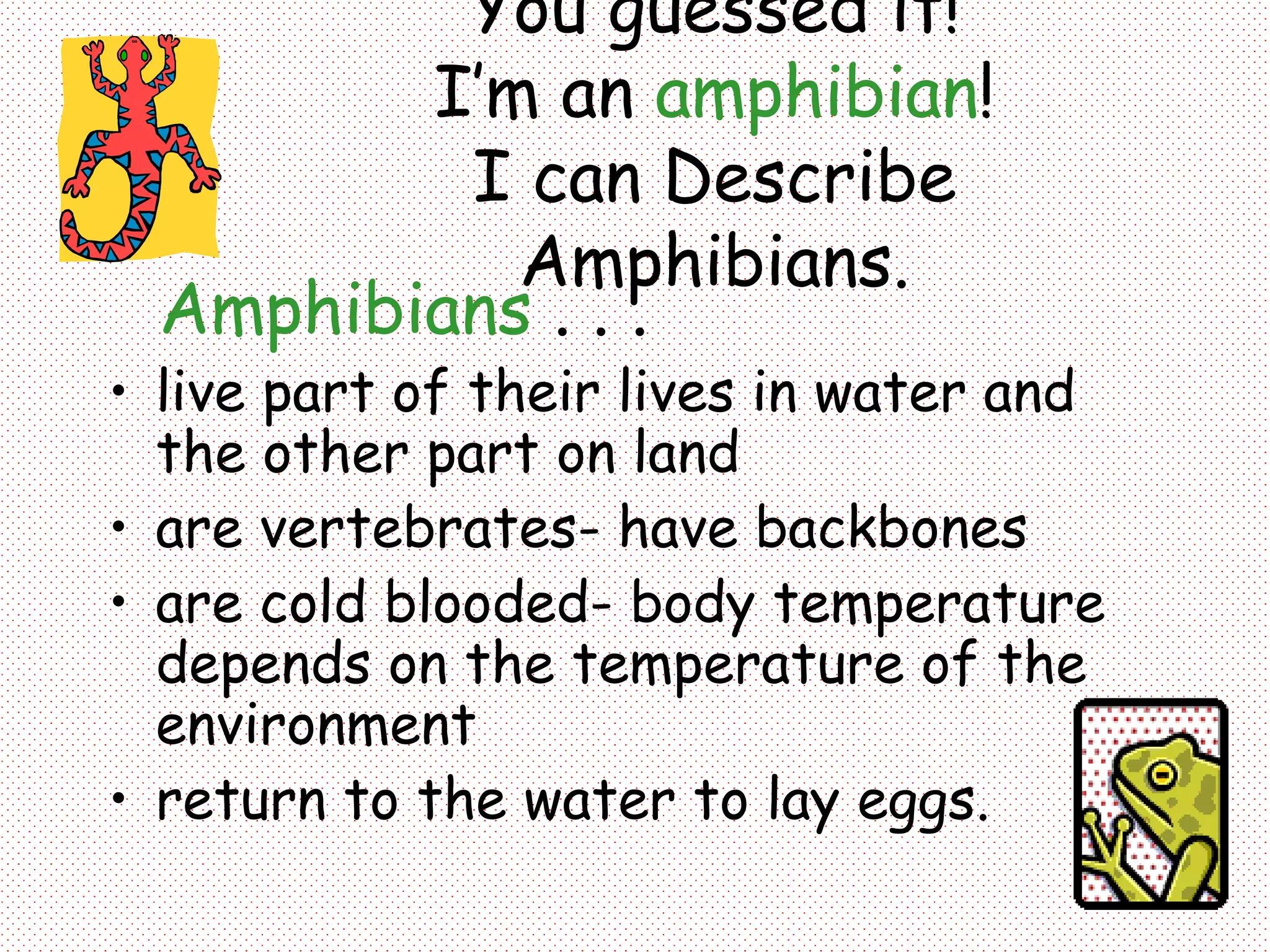 Interactive Vocab..Amphibians | PPT | Reptiles | Pets