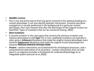 Interactomeee | PPTX | Biological Sciences | Science