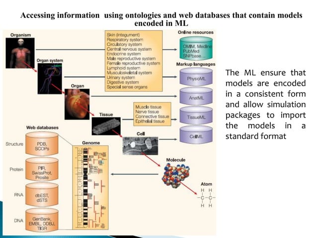 Interactomics, Integromics to Systems Biology: Next Animal ...