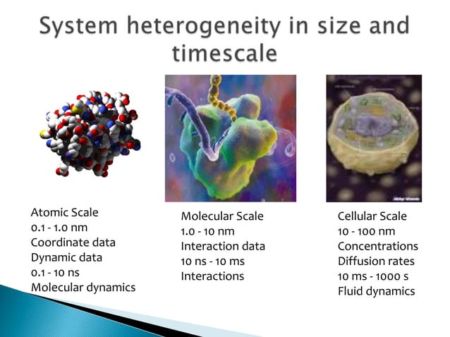 Interactomics, Integromics to Systems Biology: Next Animal ...